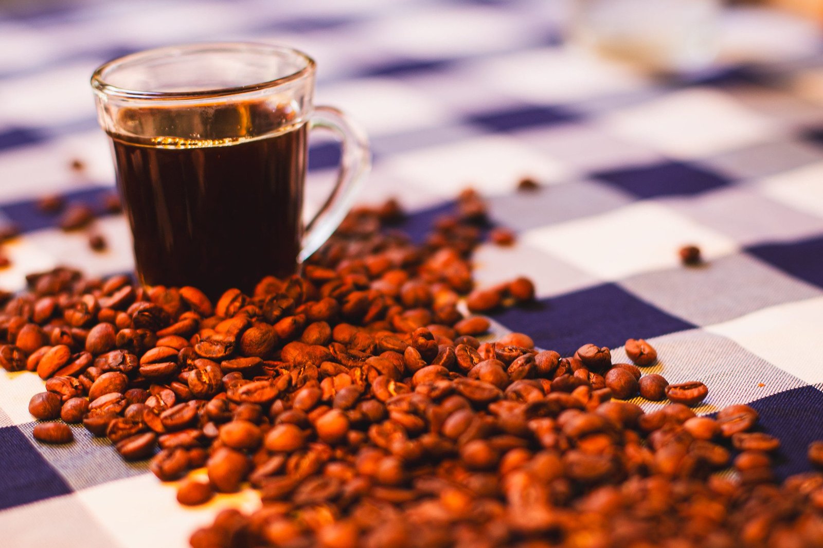 Dia Nacional do Café destaca a inovação e a sustentabilidade do Cerrado ...